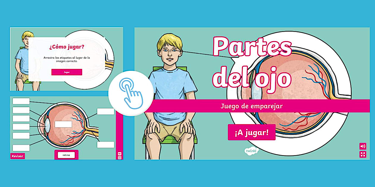 Juego interactivo: Las partes del ojo - Twinkl Go - Twinkl