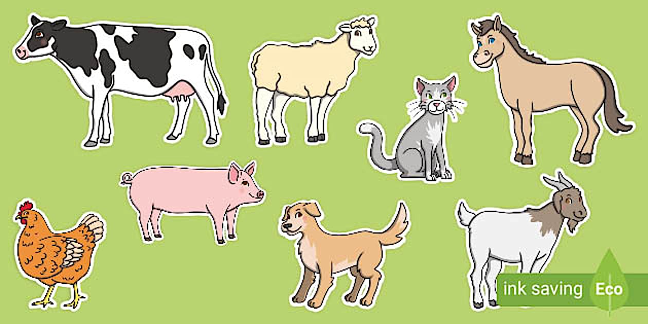 Farm Animal Display Cut-Outs - Twinkl - EYFS - Twinkl
