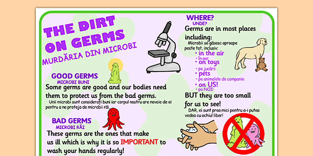 Germs Display Poster Romanian Translation (teacher made)