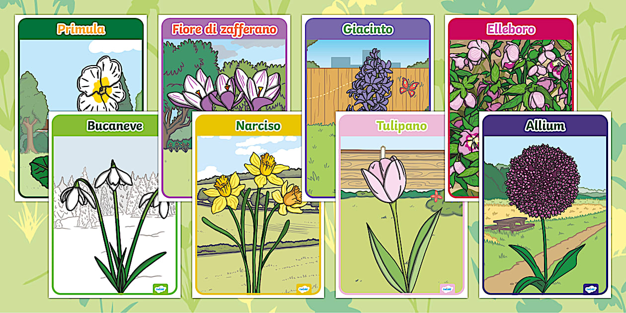 Poster Fiori di Primavera