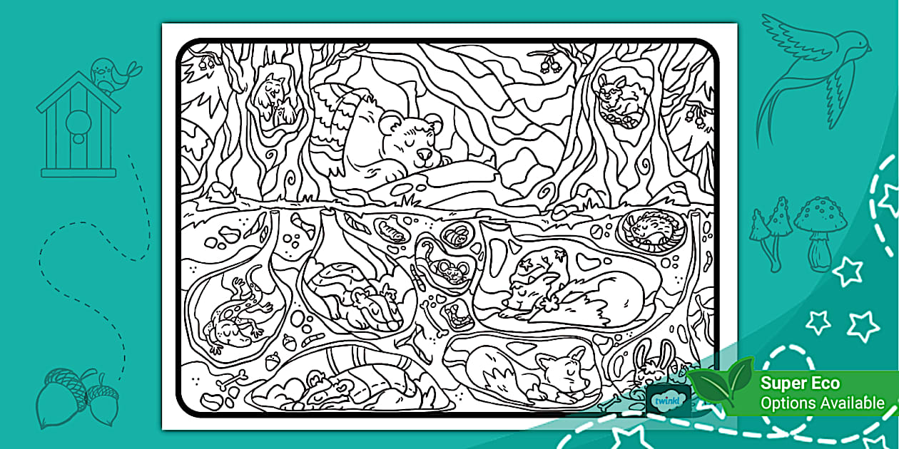 Busy Picture Woodland Animals Colouring Page - Twinkl