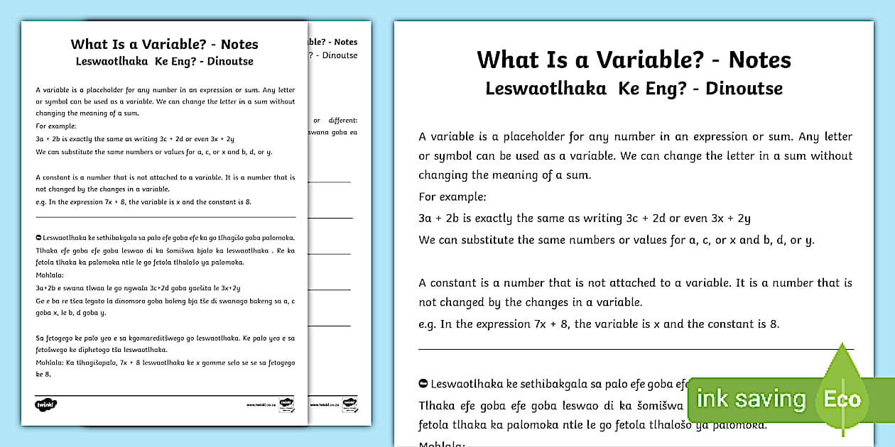 What is a Variable? Notes - Sepedi Activity Sheet - Twinkl