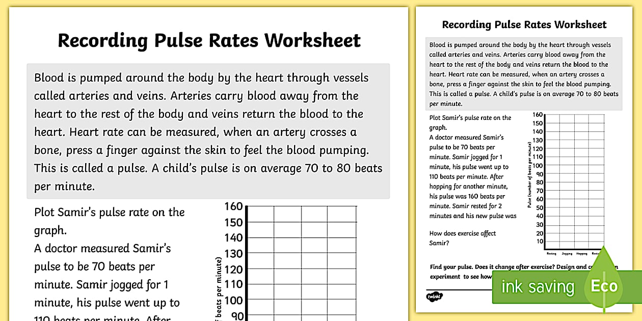 Pulse Rates Worksheet (teacher made) - Twinkl