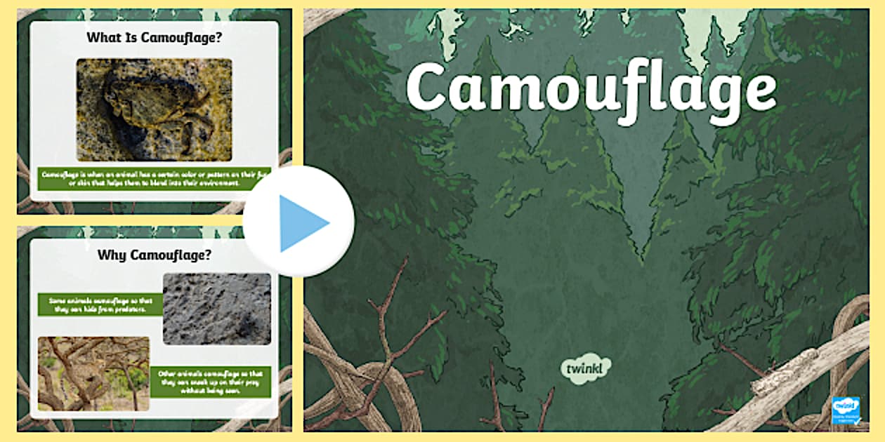 Camouflage PowerPoint for 3rd-5th Grade (Teacher-Made)
