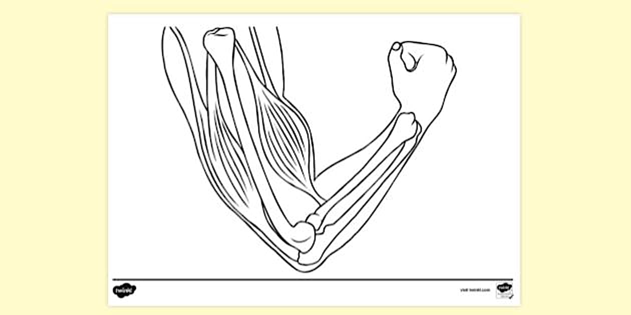 Colouring | Colouring Sheets (teacher made) - Twinkl