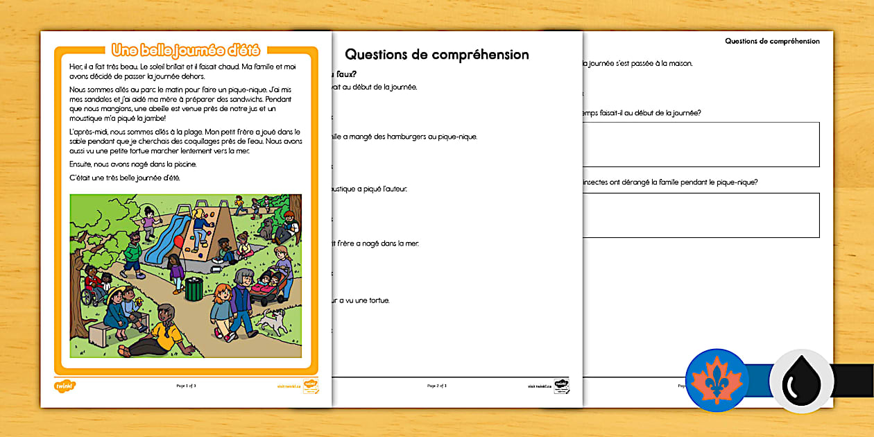 Summer Reading Comprehension French (l'enseignant a fait)
