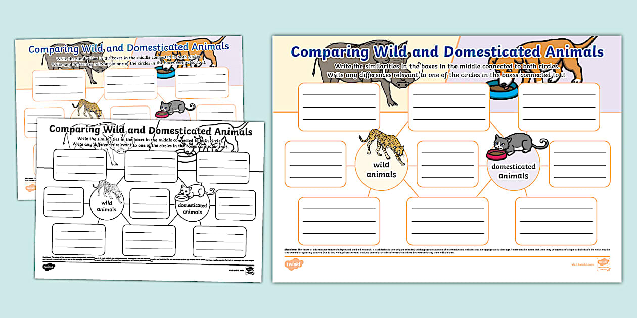 Comparing Wild and Domestic Animals Mind Map (teacher made)