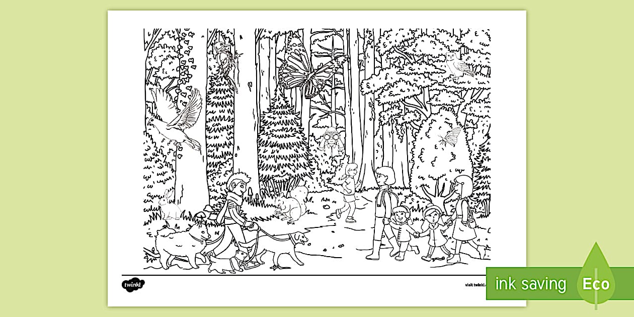 Busy Woodland Colouring Challenge (Hecho por educadores)