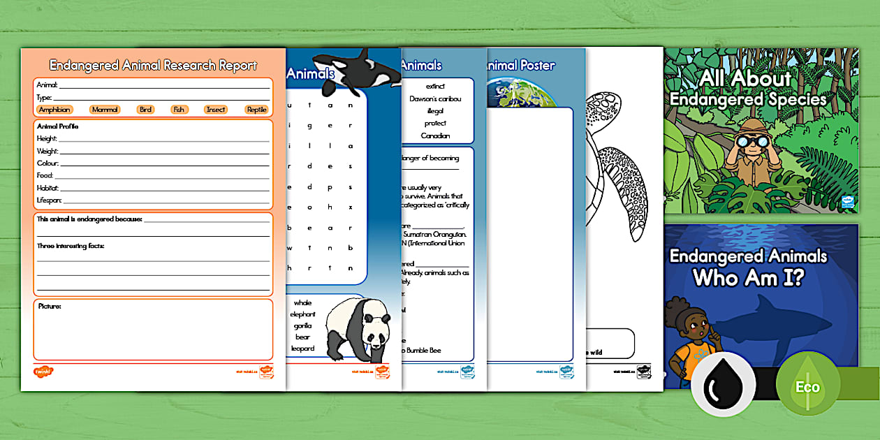 World Wildlife Day Primary Activity Pack (Teacher-Made)