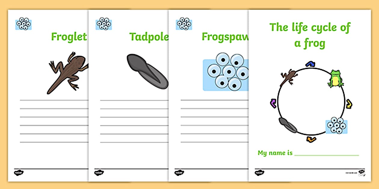 Black and White Frog Life Cycle Workbook (Minibeasts)