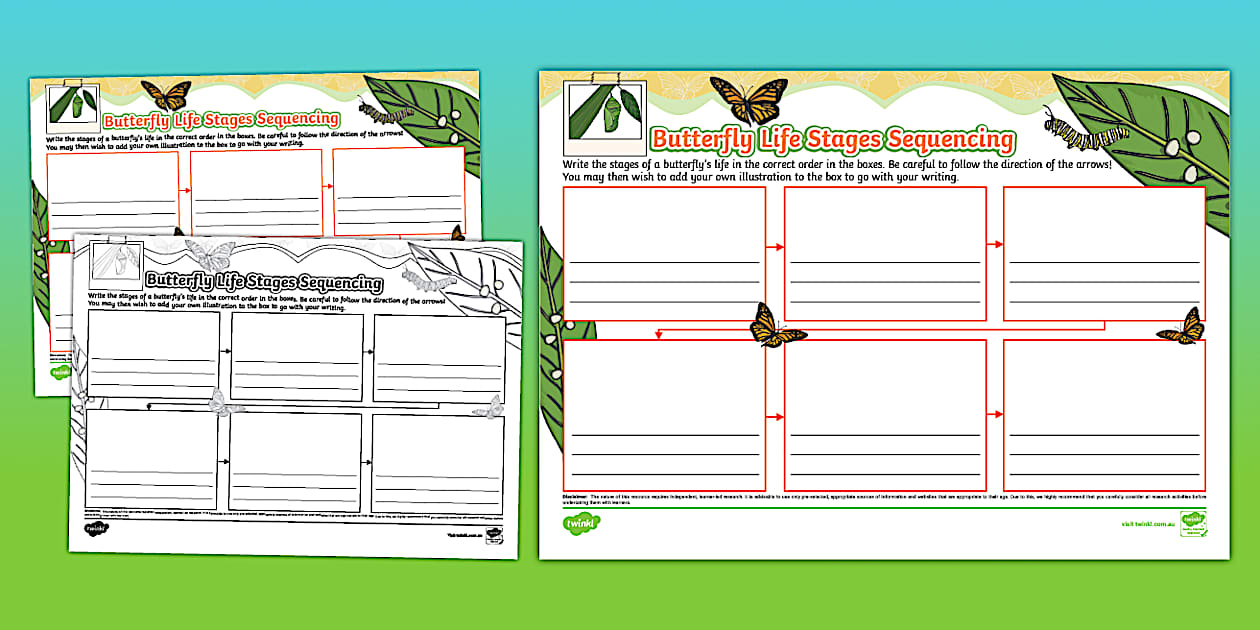 Butterfly Life Stages Sequencing Mind Map (teacher made)