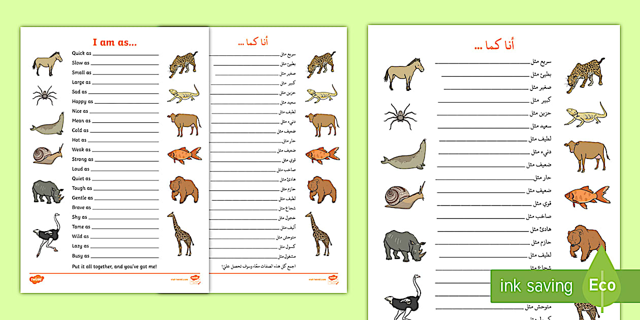 Simile Worksheet Arabic/English - Simile Worksheet - Twinkl