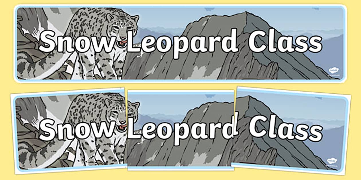 👉 Snow Leopard Class Display Banner - Twinkl