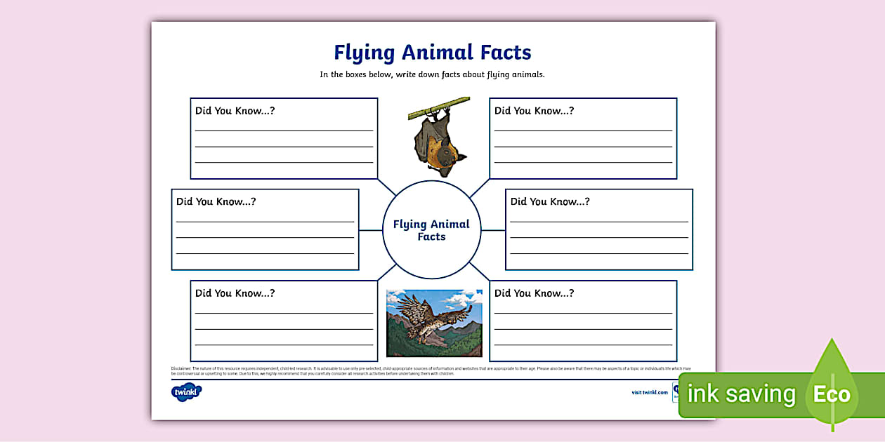 Flying Animal Facts Mind Map (teacher made) - Twinkl