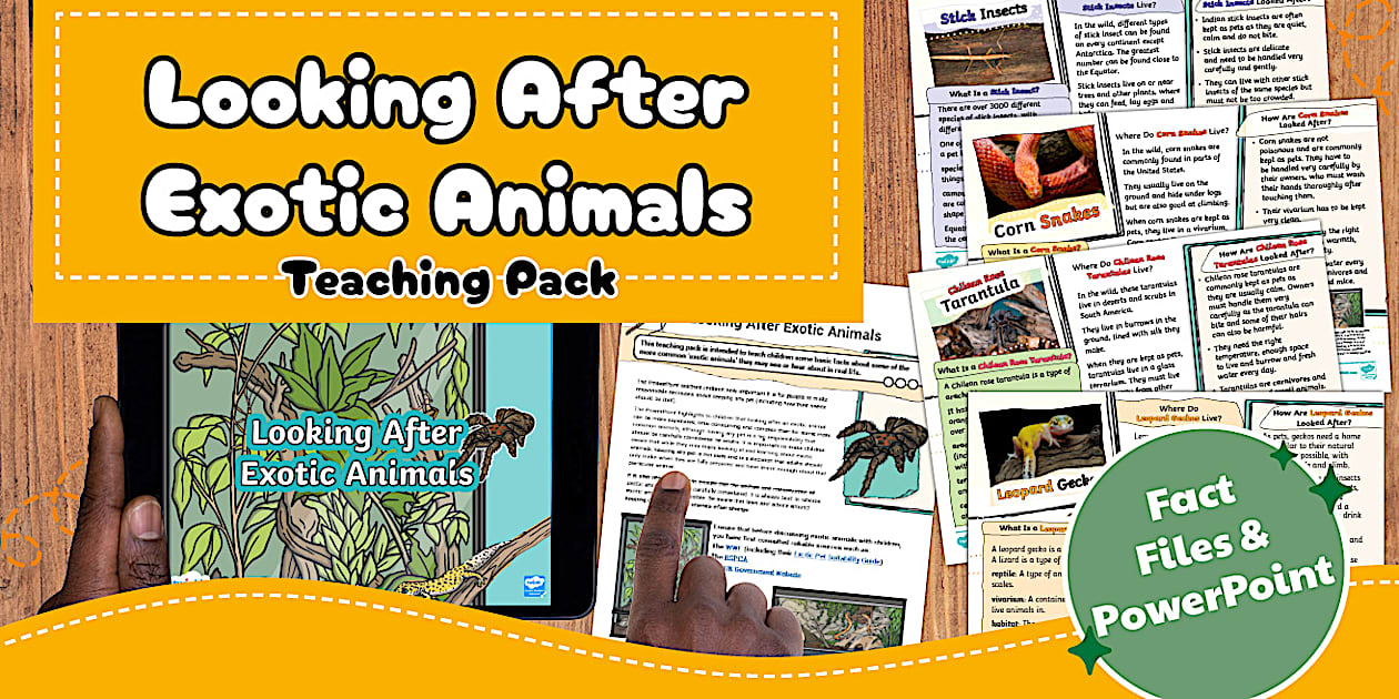 KS1 Looking After Exotic Animals Science Teaching Pack