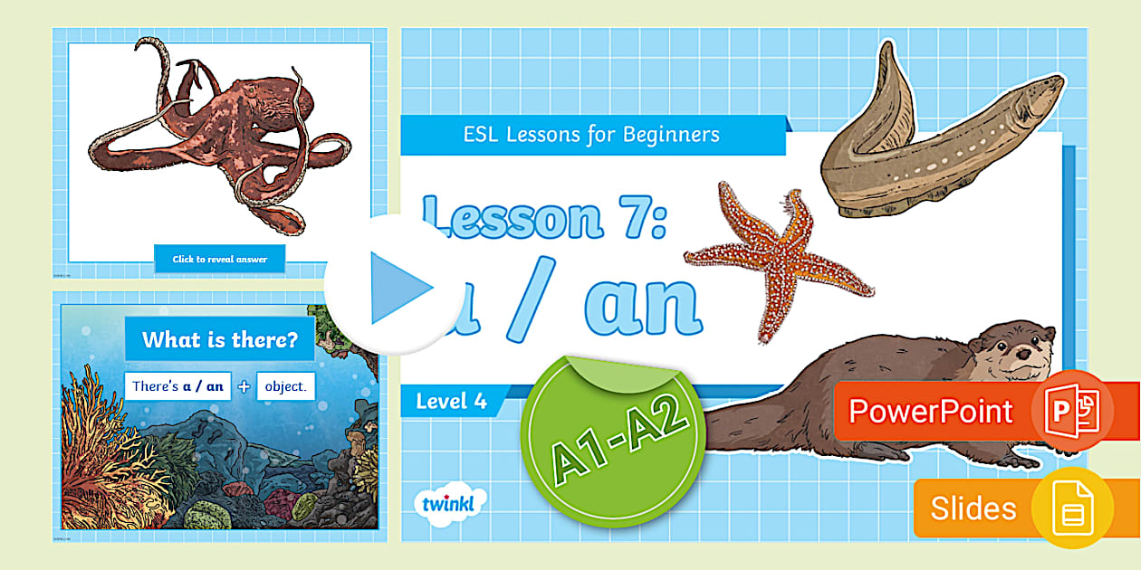 ESL Curriculum Level 4, Lesson 7 - Twinkl