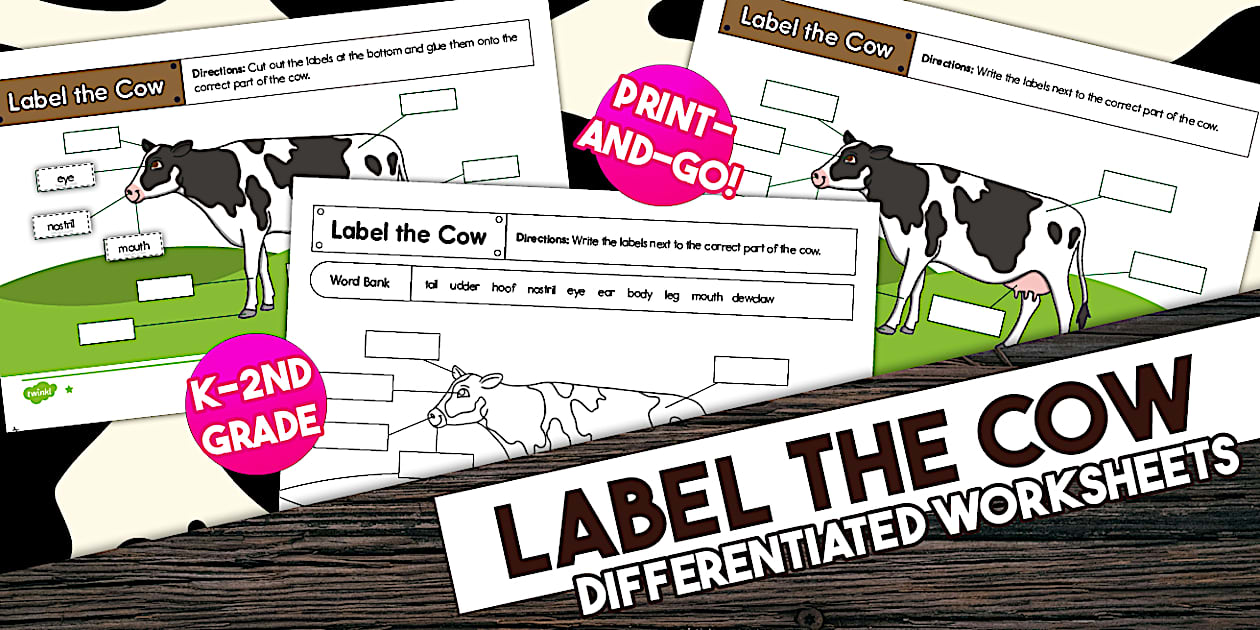 Label the Cow Differentiated Worksheets for K-2nd Grade