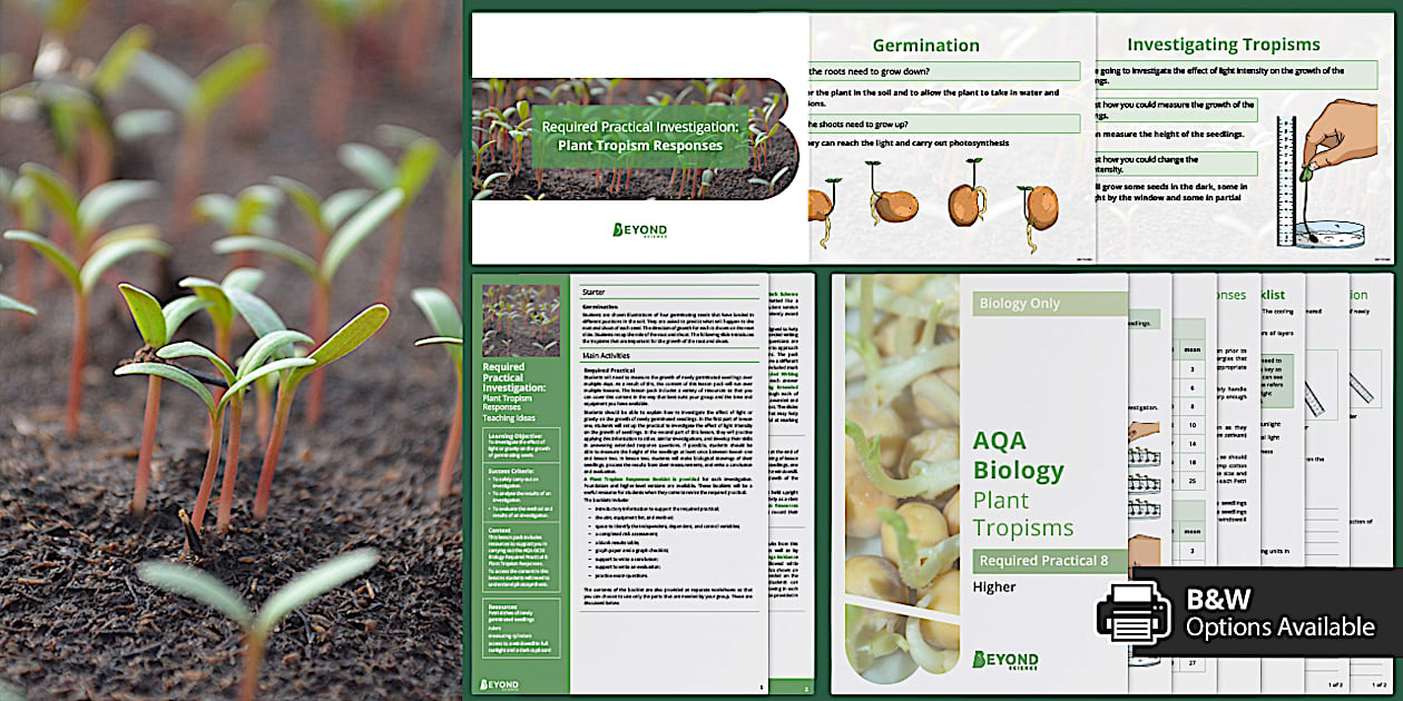 GCSE Biology Required Practical: Plant Tropism Responses
