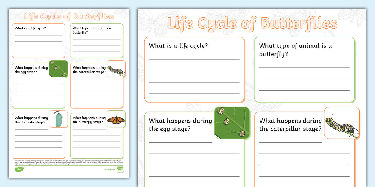 Butterfly Life Cycle Fact File Template (teacher made)