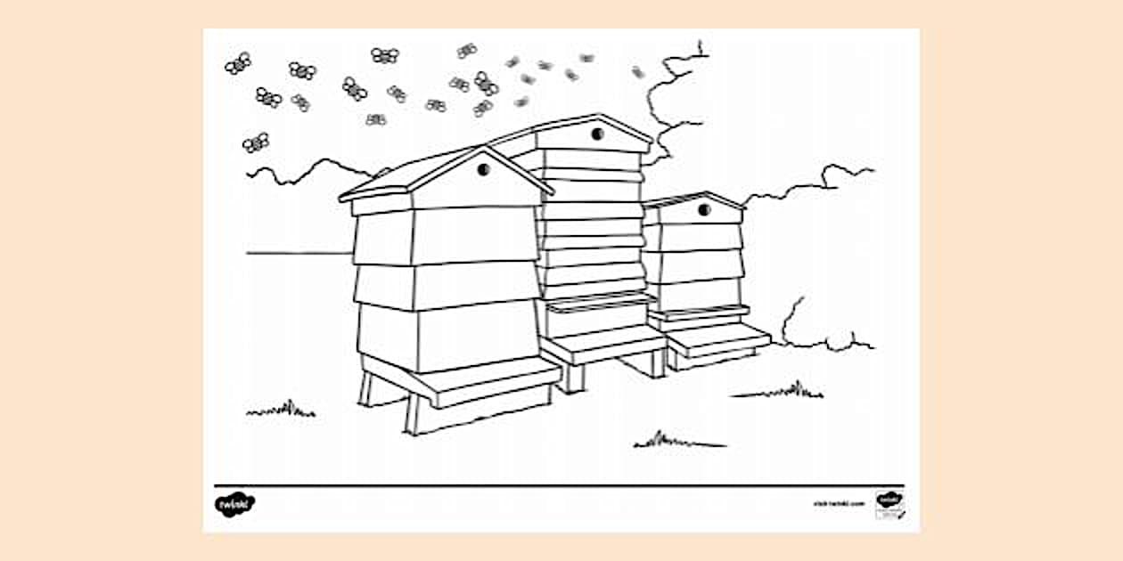 Colouring Page of Bees and Beehives | Colouring Sheets
