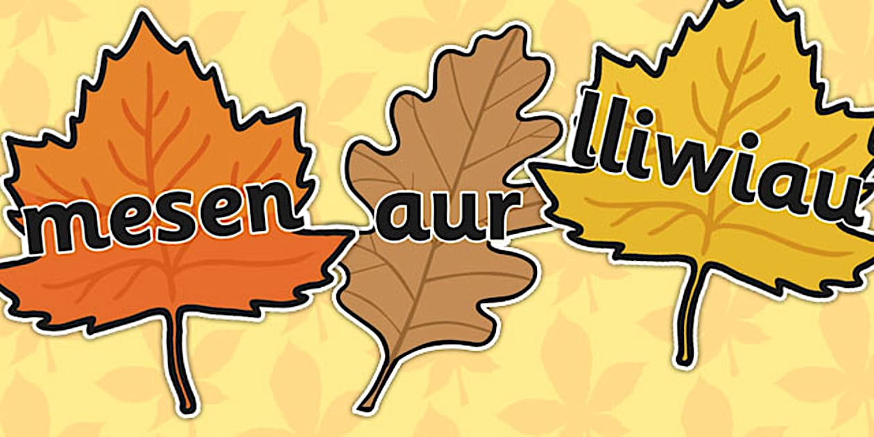 Editable Autumn Topic Words On Leaves Welsh - Twinkl
