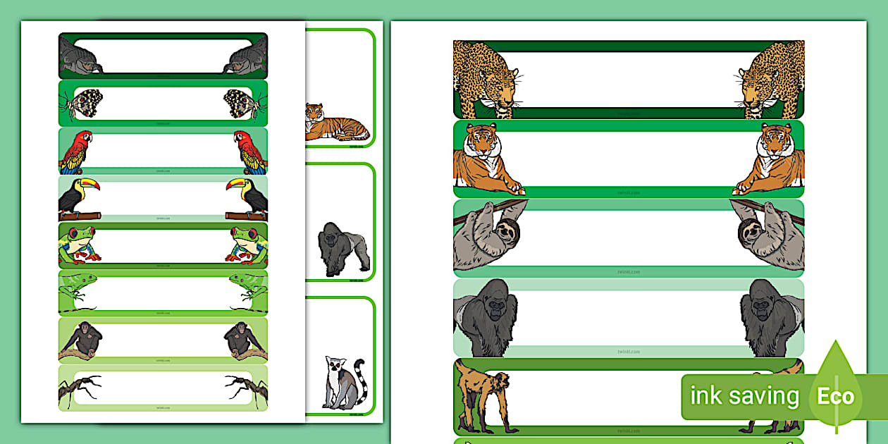 Editable Jungle and Rainforest Tray Labels - Twinkl