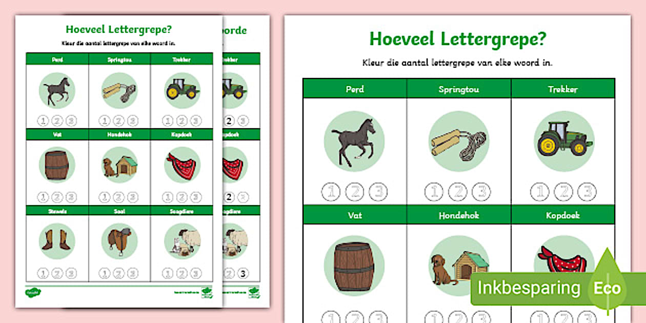 Hoeveel Lettergrepe? Aktiwiteit (teacher made) - Twinkl