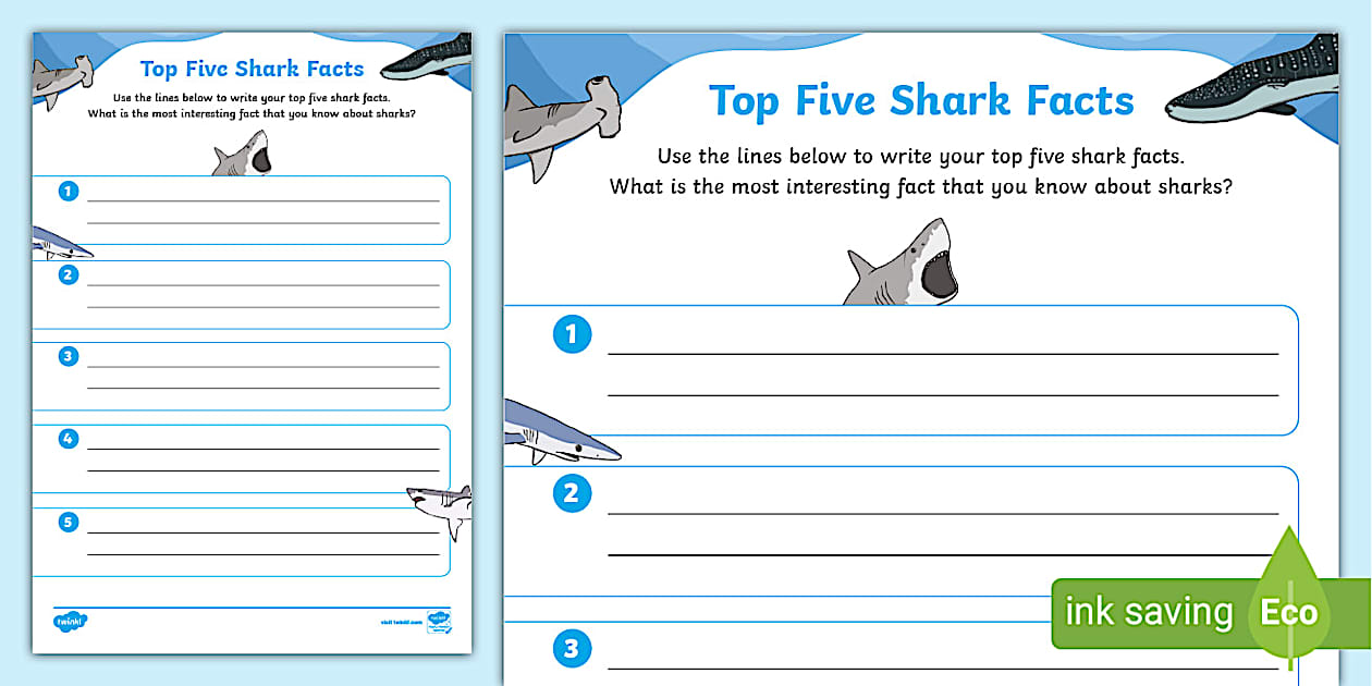 Top Five Shark Facts Activity Sheet (teacher made) - Twinkl