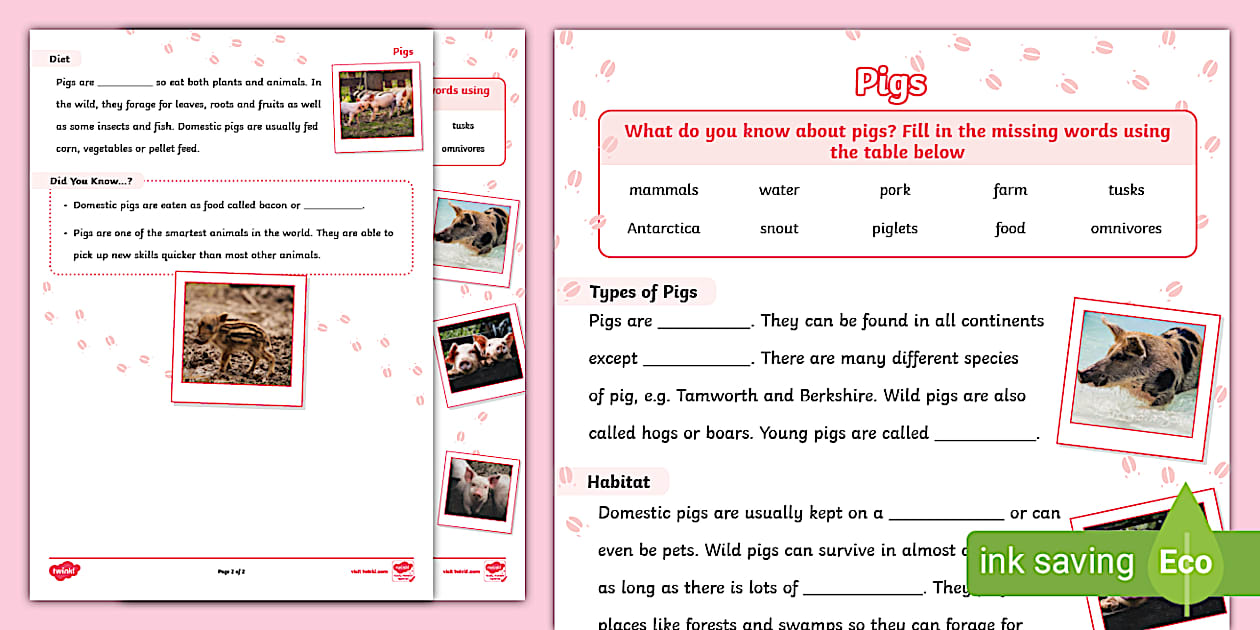 Pigs Cloze Worksheet (Hecho por educadores) - Twinkl
