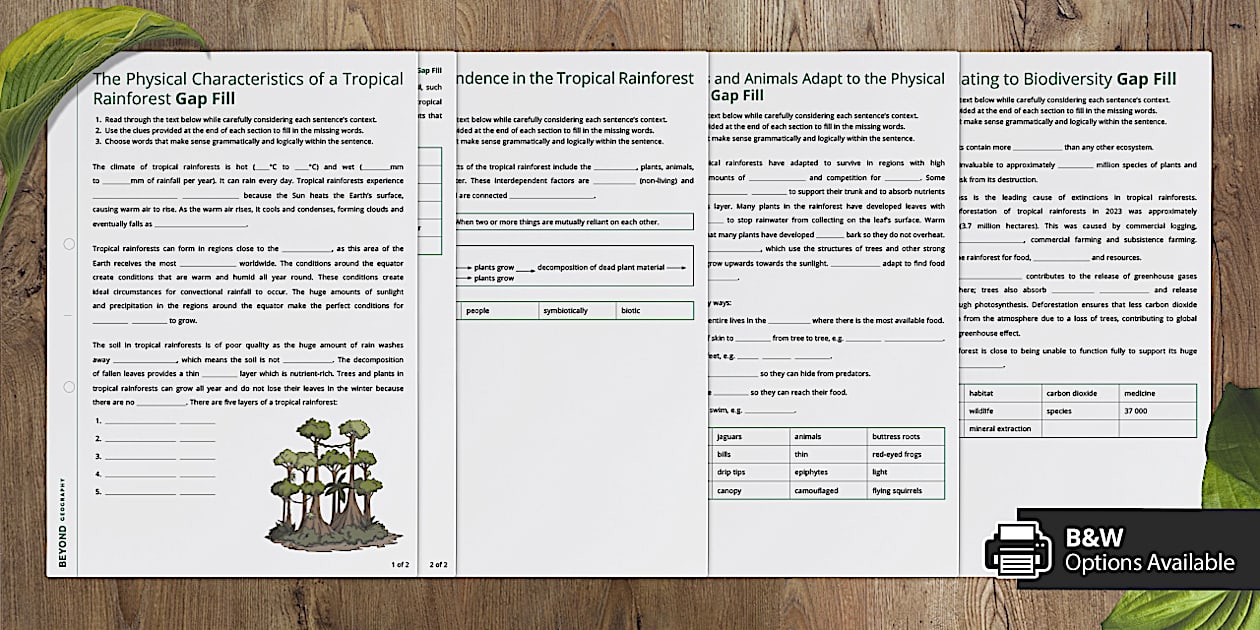 Tropical Rainforests Distinctive Characteristics Gap Fill