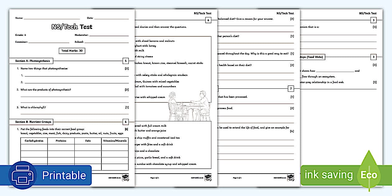 Grade 6 Natural Science and Technology Exam Papers I Twinkl