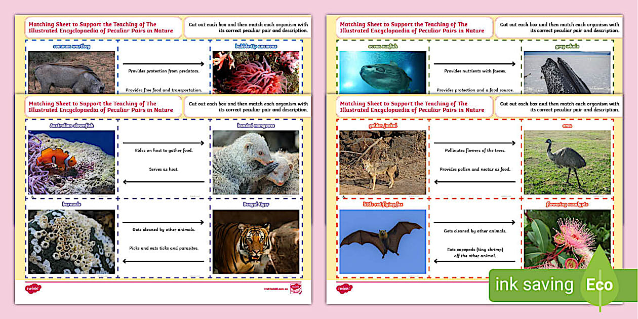 Matching Activity Sheet | Symbiotic Relationships | Twinkl