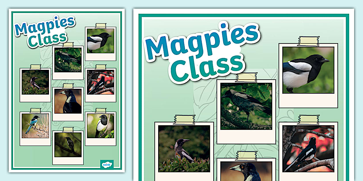 Magpies Class Photo Display Poster (teacher made) - Twinkl