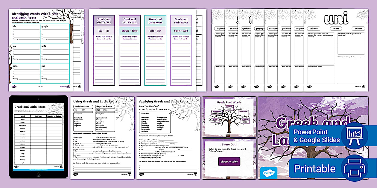 Greek and Latin Roots Worksheet | Lesson Pack | Twinkl USA