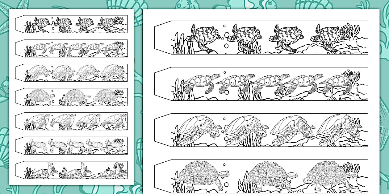 Turtle Colouring Paper Chain (teacher made) - Twinkl