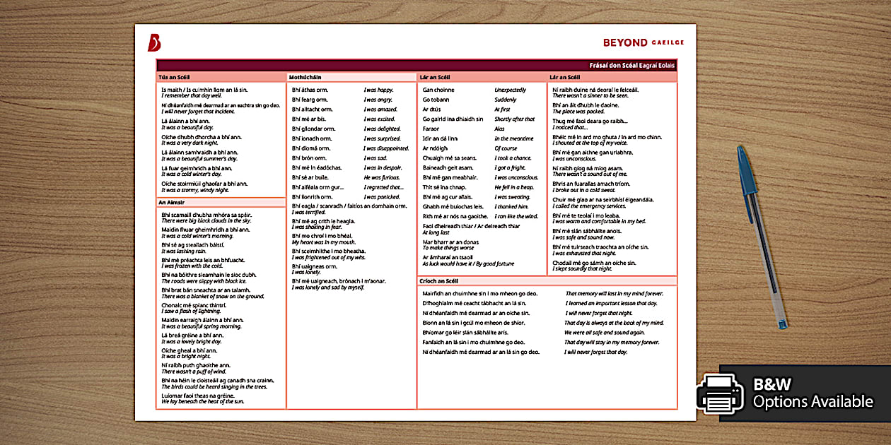 Frásaí don Scéal Eagraí Eolais (teacher made) - Twinkl