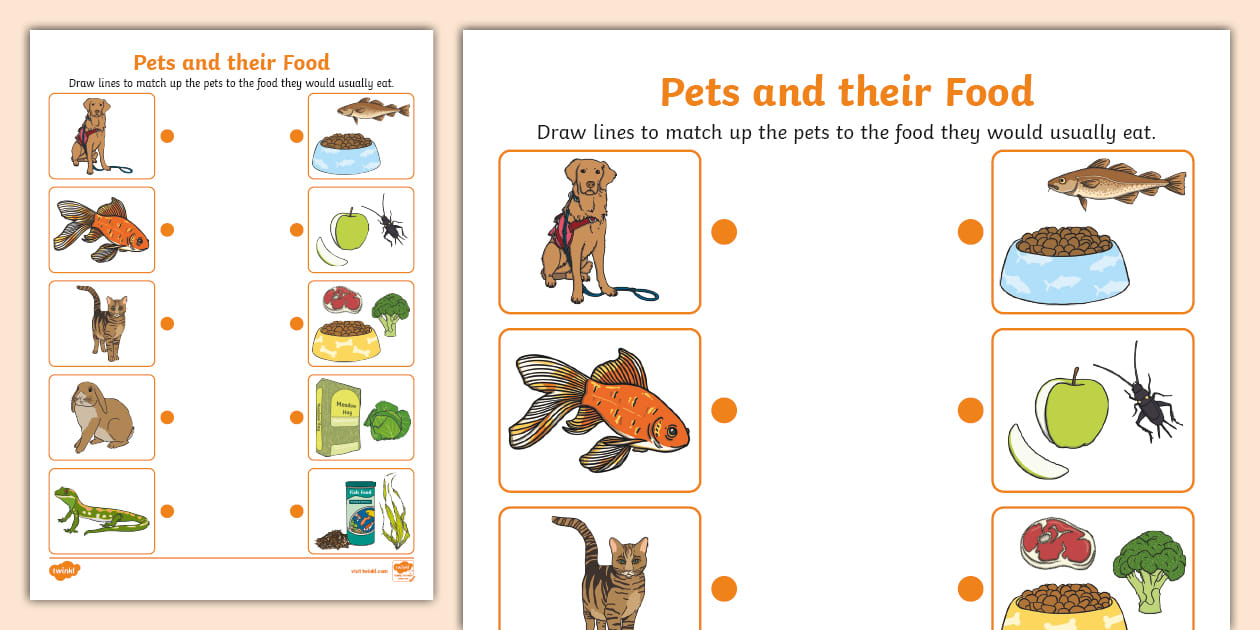 Pets and their Food Matching Activity (teacher made)