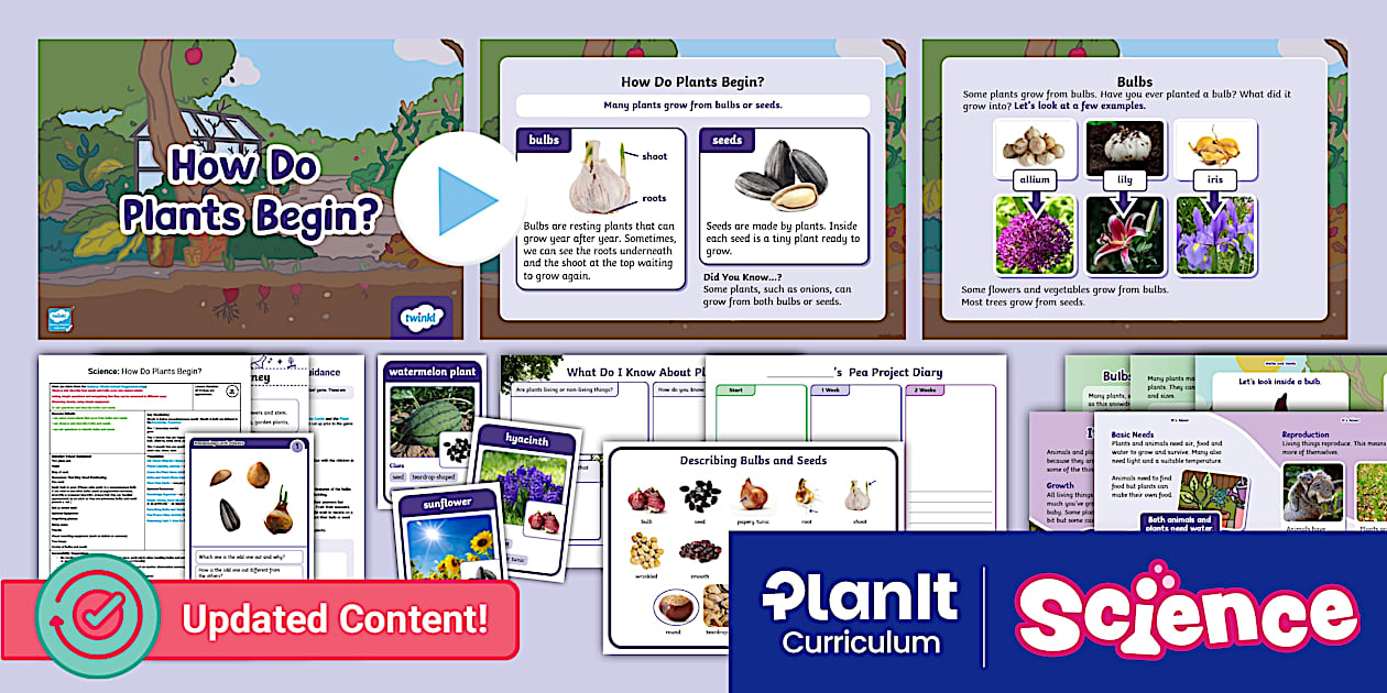 Science: Plants: How Do Plants Begin? Year 2: Lesson 1