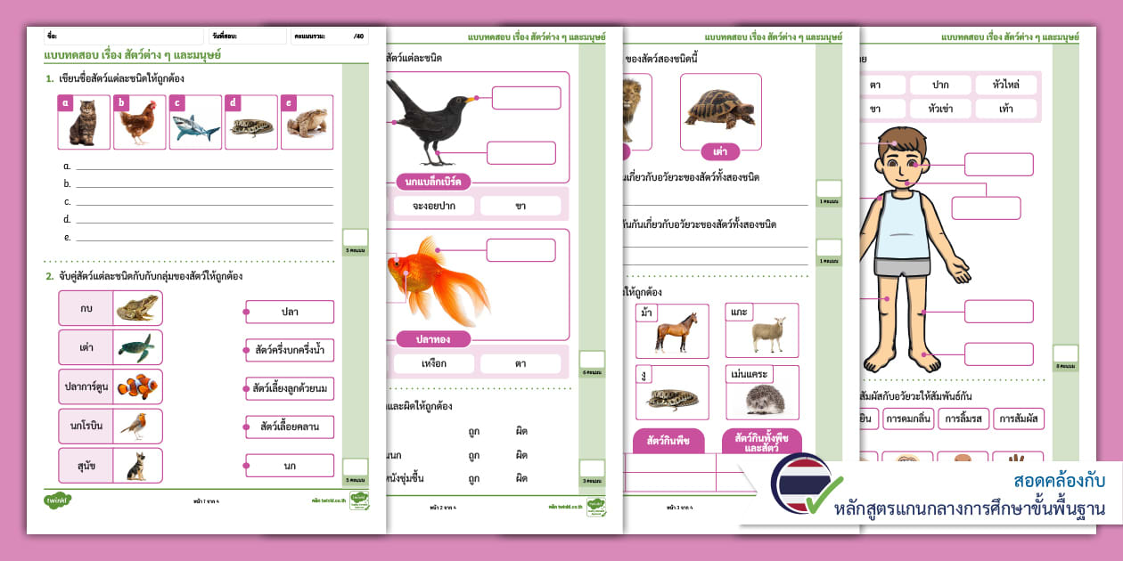 แบบทดสอบเรื่องสัตว์ต่าง ๆ และมนุษย์ - สื่อวิชาวิทยาศาสตร์