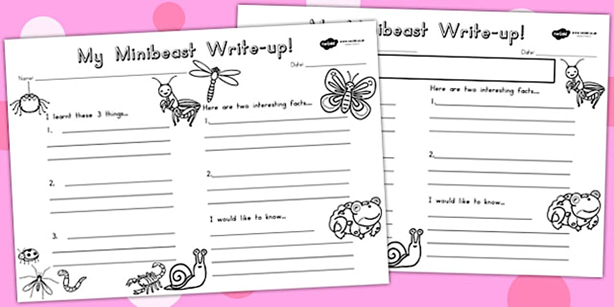 Editable Minibeasts Cute Write Up Worksheet - Australia