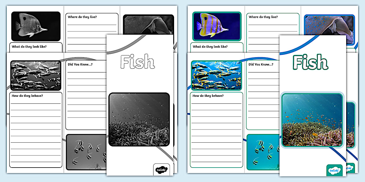 Fish Leaflet Template (Teacher-Made) - Twinkl