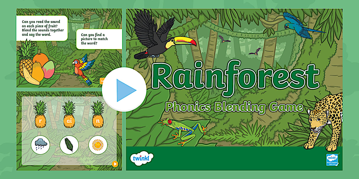 Rainforest Phonics Blending PowerPoint | Twinkl - Twinkl