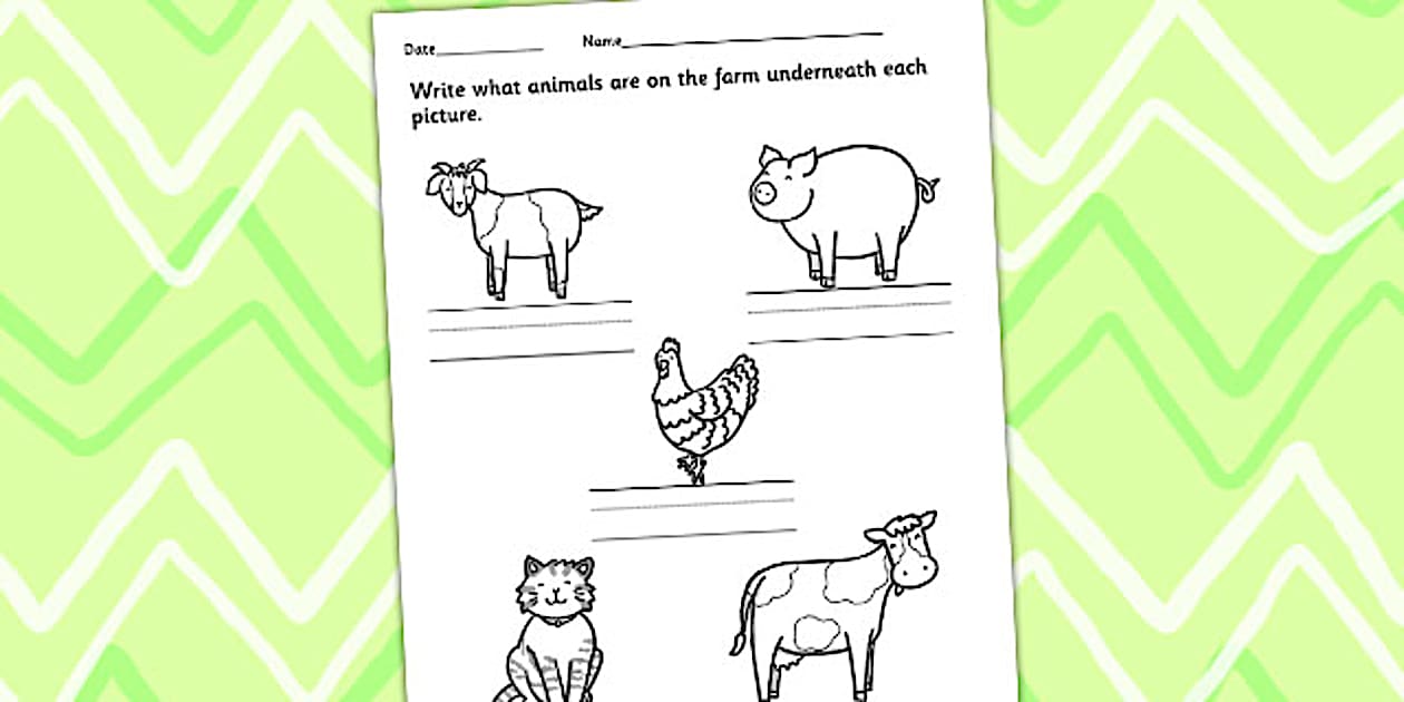 Animals on the Farm Worksheet (teacher made) - Twinkl