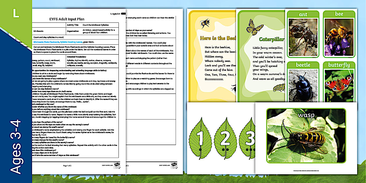 EYFS Count the Minibeast Syllables Adult Input Plan and Pack