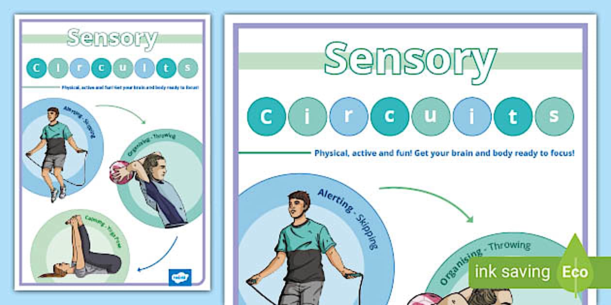 Sensory Circuits Poster (teacher made) - Twinkl