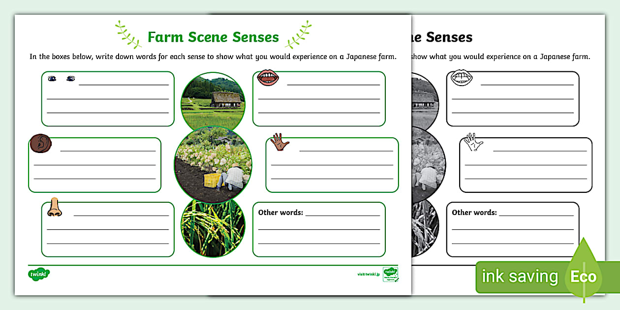 Japanese Farm Five Senses Mind Map (teacher made) - Twinkl