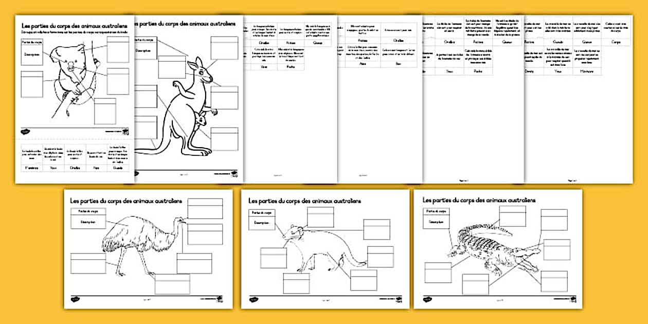Les parties du corps des animaux australiens (teacher made)
