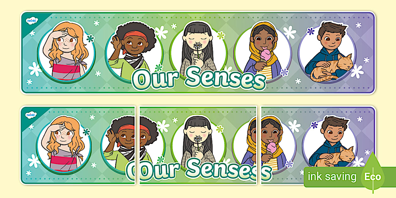 Our Senses Display Banner (teacher made) - Twinkl