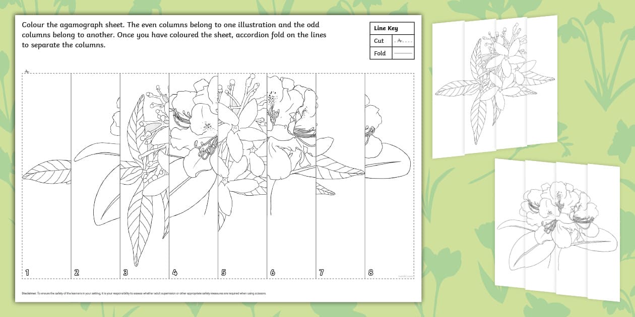 Wildflowers Agamograph (Teacher-Made) - Twinkl