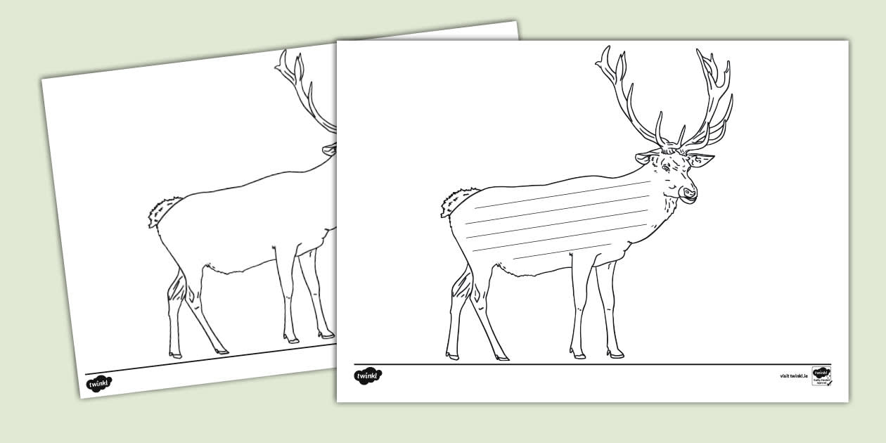 Deer Writing Template (teacher made) - Twinkl